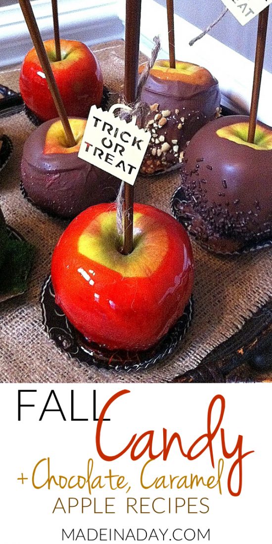 Fall Candy Apple Recipes