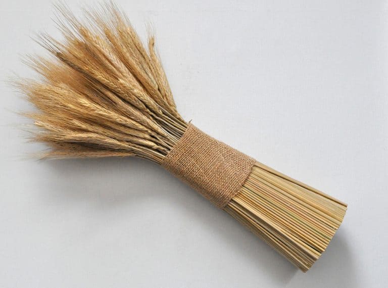 Heartwarming DIY Harvest Wheat Bundle