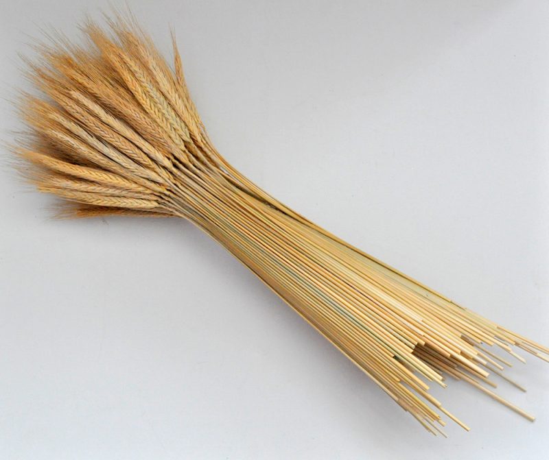 Heartwarming DIY Harvest Wheat Bundle