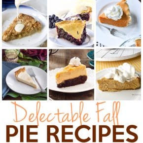 Delectable Fall Pie Recipes • Made In A Day
