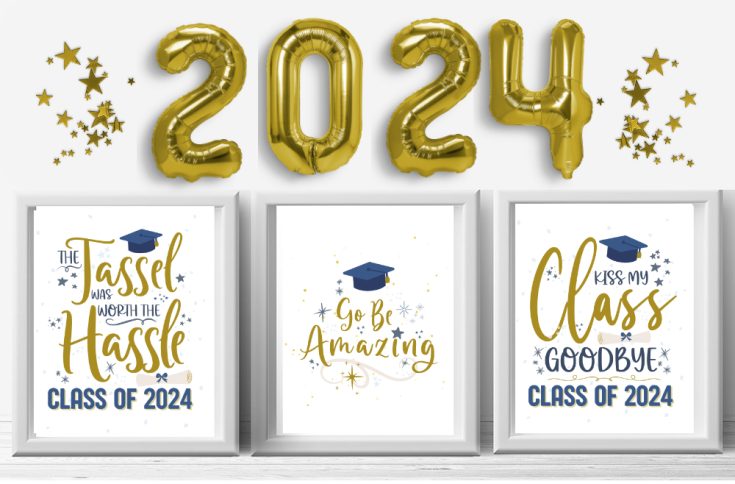Graduation Printables For Party Decor | Made In A Day