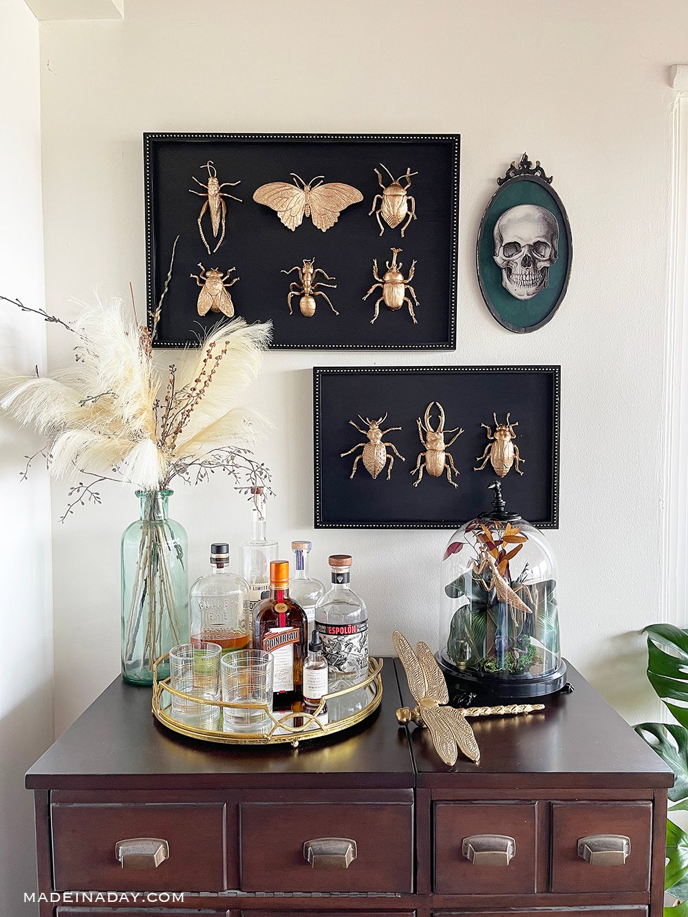 Halloween Taxidermy Gold Mounted Insect Specimens