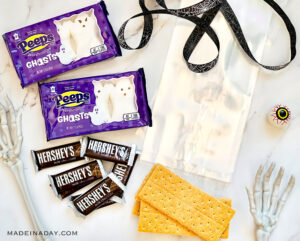 Halloween Smores Ghost Party Favors