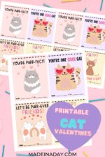 Printable Valentines Cat Cards For Kids