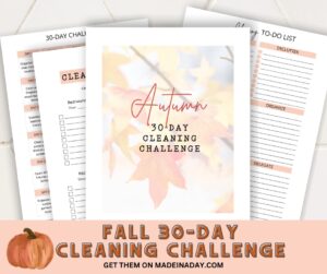 Fall Cleaning Checklist 30 Day Challenge | Made In A Day