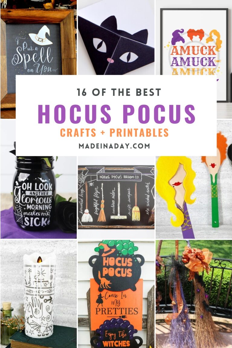 16 Bewitching Hocus Pocus Crafts